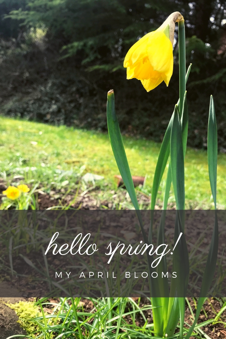 April Flowers In Season Garden - Gardening - Robyn Roste