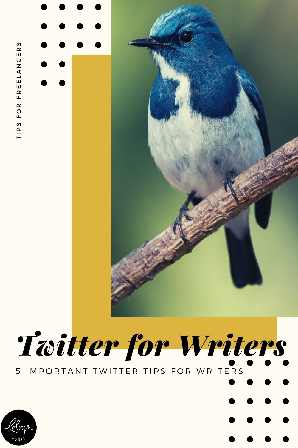 5 Important Twitter Tips for Freelance Writers - Robyn Roste